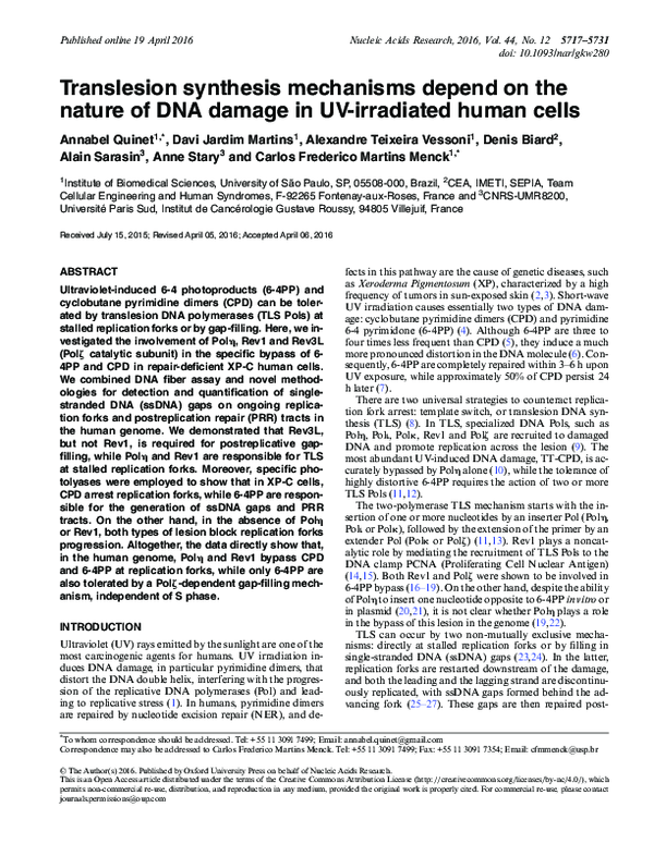 (PDF) Translesion synthesis mechanisms depend on the nature of DNA ...