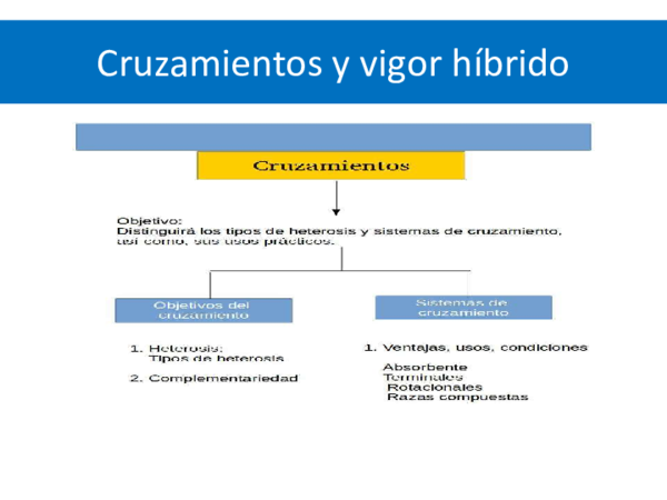 (PDF) Cruzamientos y vigor híbrido