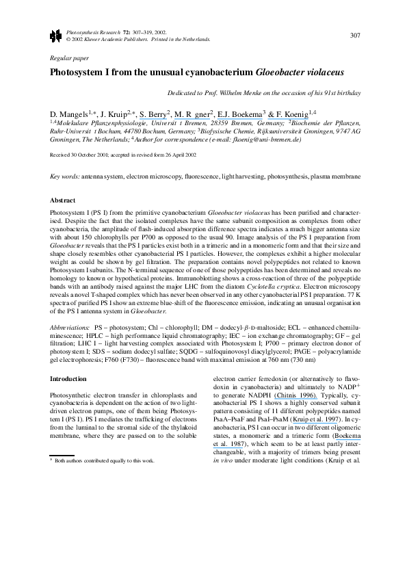 (PDF) Photosystem I from the unusual cyanobacterium Gloeobacter violaceus