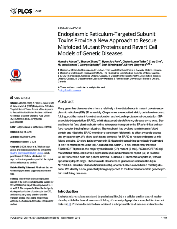 (PDF) Endoplasmic Reticulum-Targeted Subunit Toxins Provide a New ...