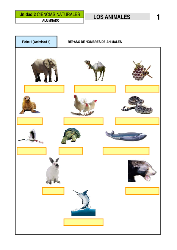 (PDF) Unidad 2 CIENCIAS NATURALES Ficha 1 (Actividad 1) REPASO DE ...
