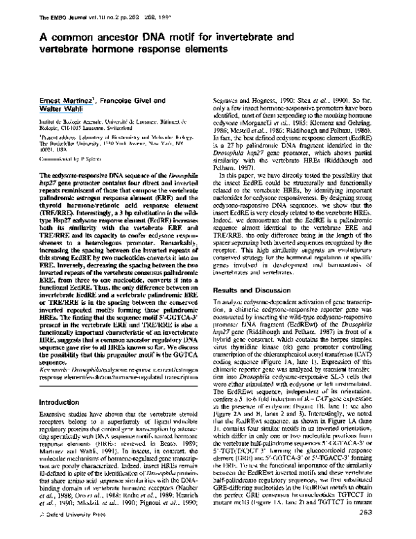 (PDF) A common ancestor DNA motif for invertebrate and vertebrate ...