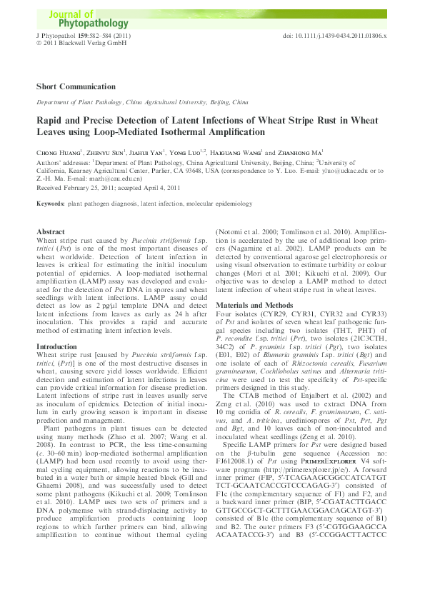 Pdf Rapid And Precise Detection Of Latent Infections Of Wheat Stripe Rust In Wheat Leaves