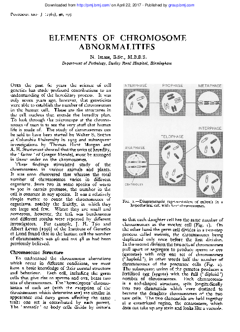 (PDF) Elements of Chromosome Abnormalities