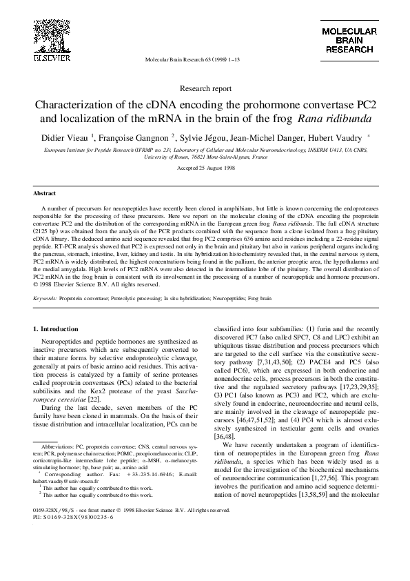 (PDF) Characterization of the cDNA encoding the prohormone convertase ...