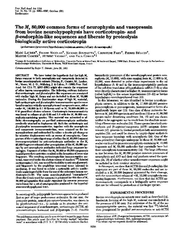 (PDF) The Mr 80,000 common forms of neurophysin and vasopressin from ...