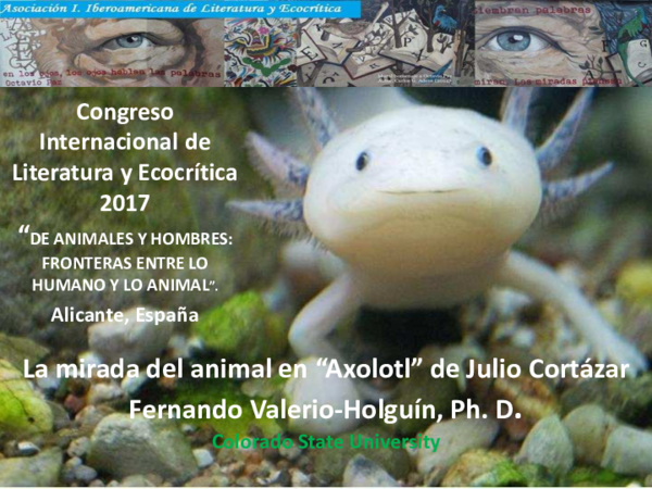 (PDF) "La mirada del animal en " Axolotl " de Julio Cortázar ...