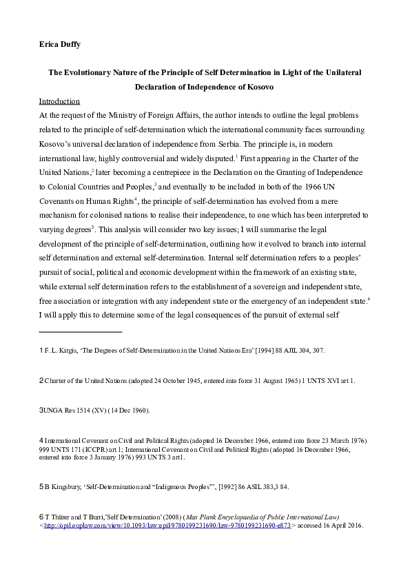 rio declaration 1992 pdf