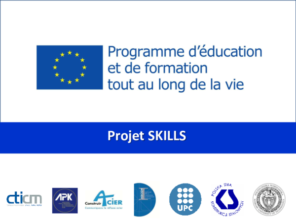 (PDF) Projet SKILLS