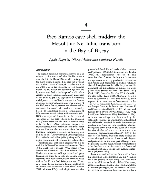 (PDF) Pico Ramos cave shell midden: the Mesolithic-Neolithic transition ...