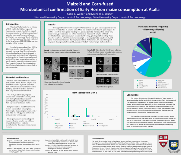 (PDF) Maize'd and Corn-fused Microbotanical confirmation of Early ...