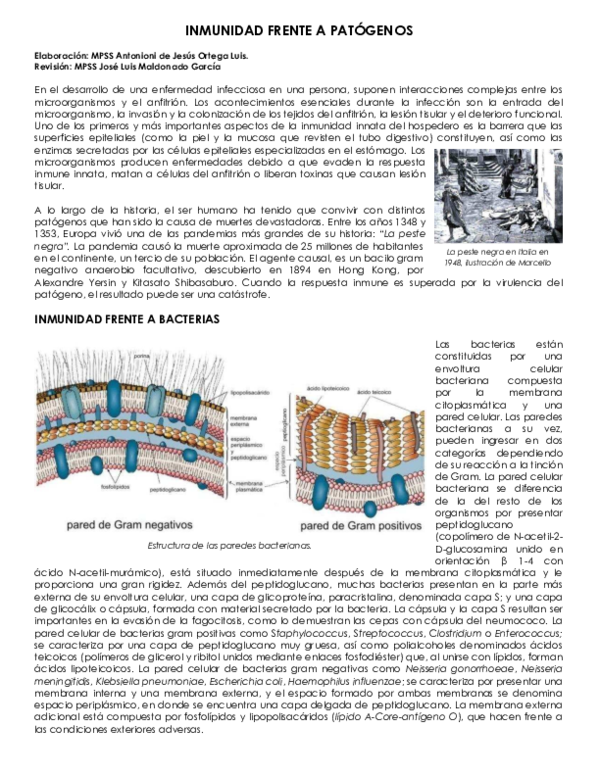 (PDF) INMUNIDAD FRENTE A PATÓGENOS