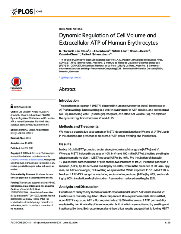 (PDF) Dynamic Regulation of Cell Volume and Extracellular ATP of Human ...