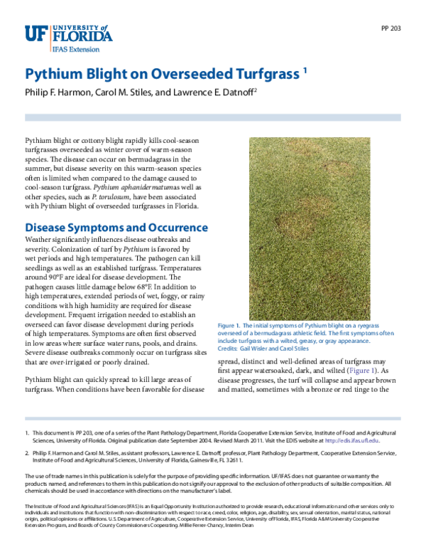 (PDF) Pythium Blight on Overseeded Turfgrass 1