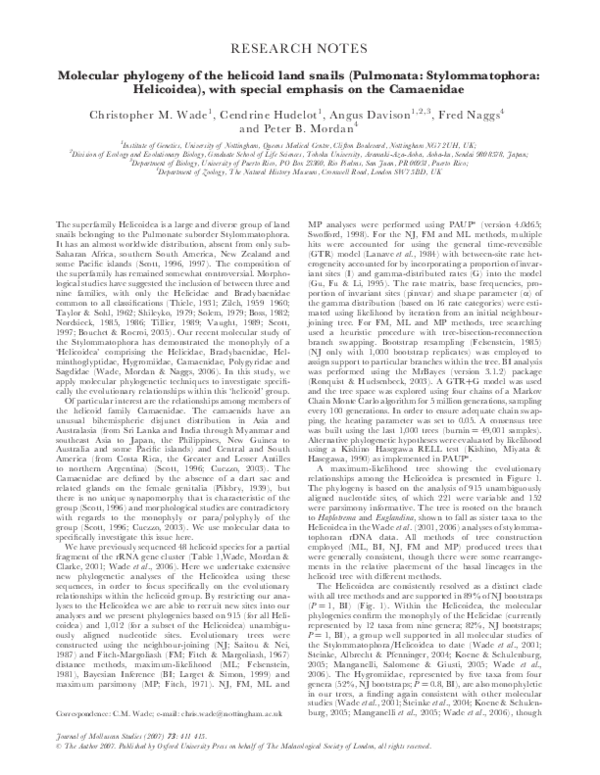(PDF) Molecular phylogeny of the helicoid land snails (Pulmonata ...