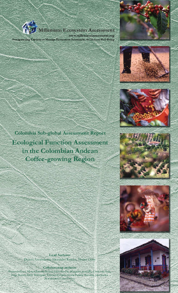 (PDF) Colombia Sub-global Assessment Report Ecological Function ...