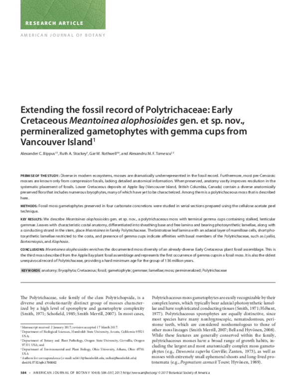 (PDF) Extending the fossil record of Polytrichaceae: Early Cretaceous ...