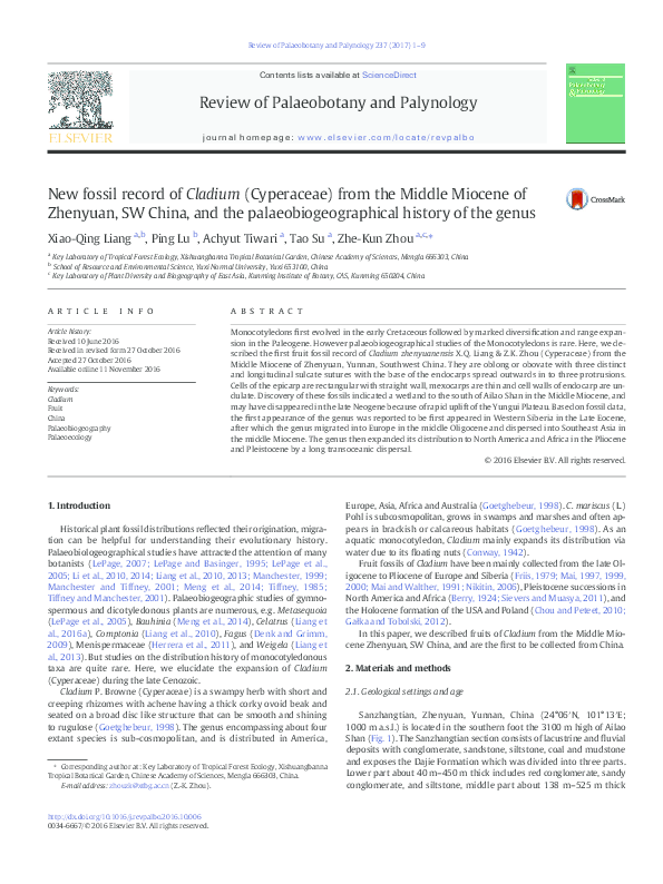 (PDF) New fossil record of Cladium (Cyperaceae) from the Middle Miocene ...