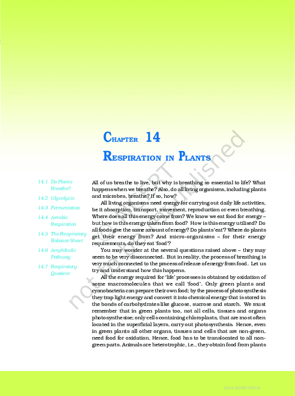 (PDF) Student Exploration: Cell Energy Cycle | Xavier Hooper - Academia.edu