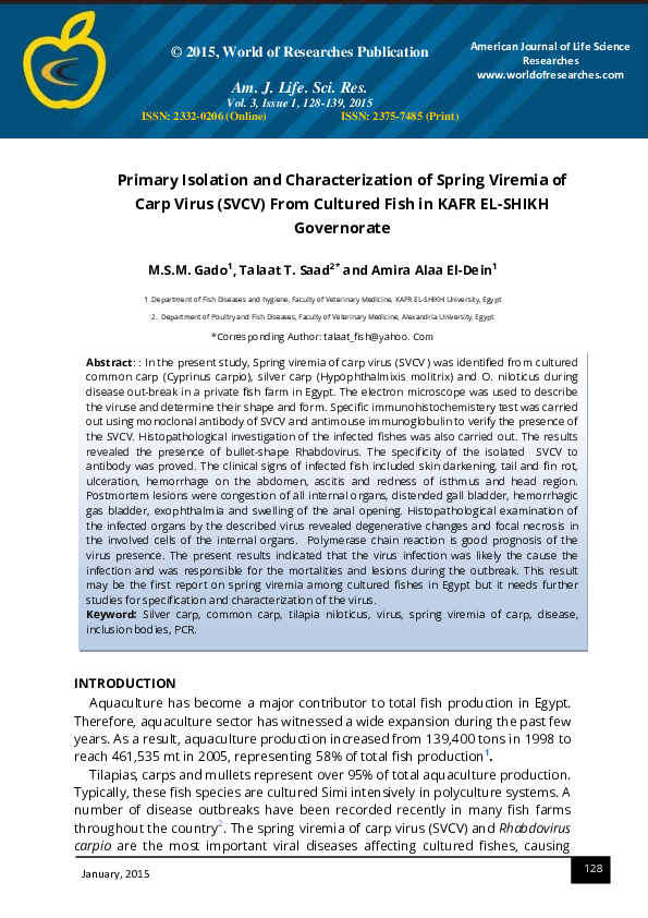 (PDF) Primary Isolation and Characterization of Spring Viremia of Carp ...