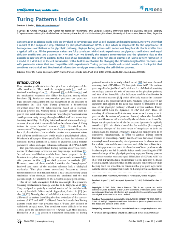 (PDF) Turing Patterns Inside Cells