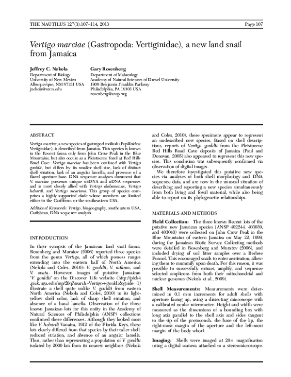 (PDF) Vertigo marciae (Gastropoda: Vertiginidae), a new land snail from ...