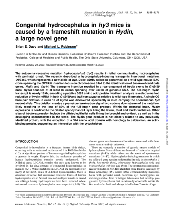 (PDF) Congenital hydrocephalus in hy3 mice is caused by a frameshift ...