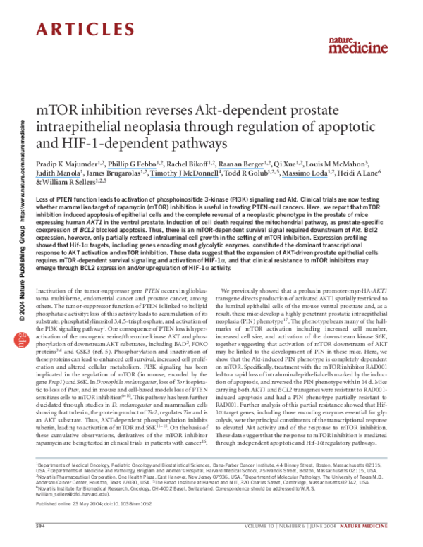 (PDF) mTOR inhibition reverses Akt-dependent prostate intraepithelial ...