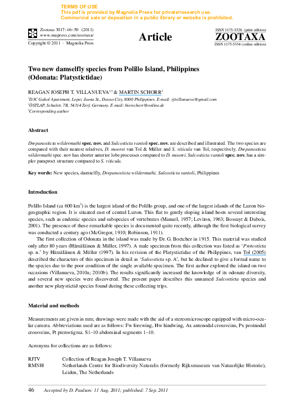 (PDF) Two new damselfly species from Polillo Island, Philippines ...