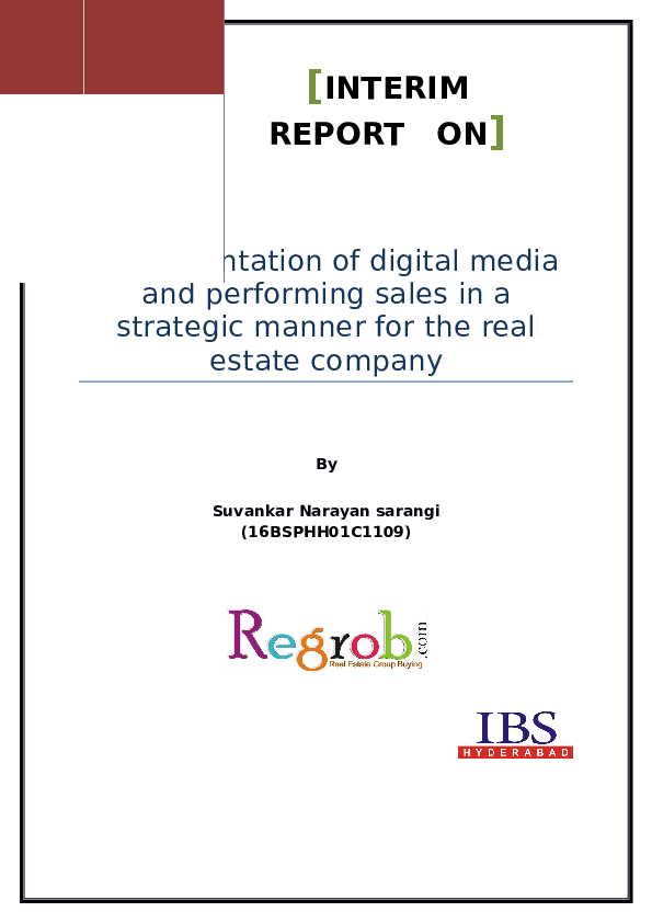 (DOC) Interim report