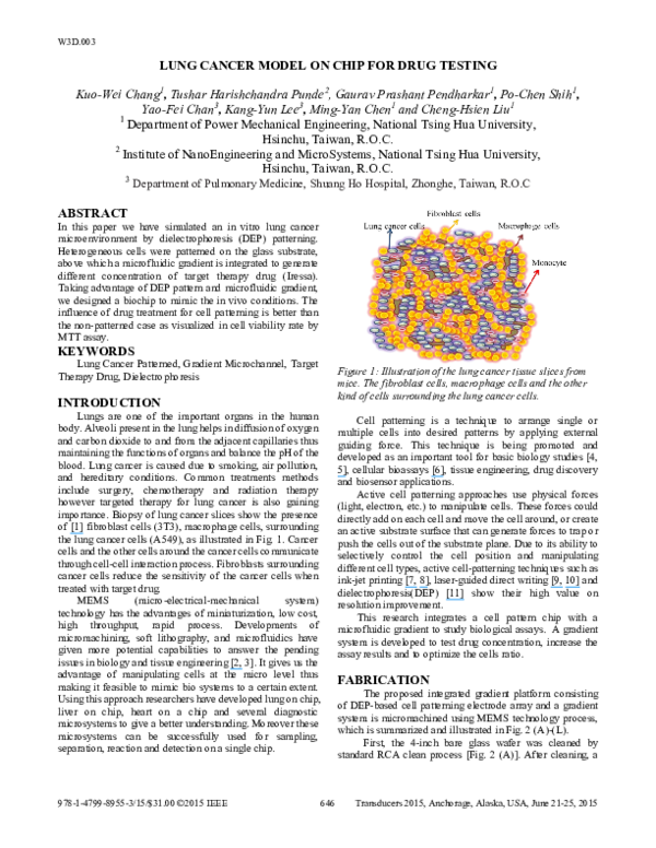 (PDF) Lung cancer model on chip for drug testing