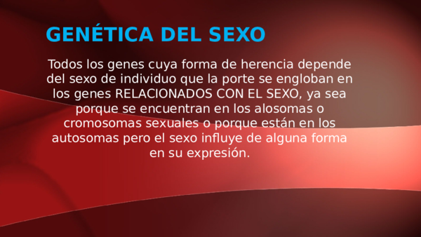 (PPT) GENETICA DEL SEXO