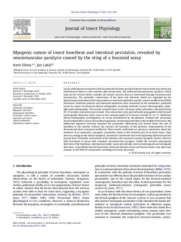 (PDF) Myogenic nature of insect heartbeat and intestinal peristalsis ...