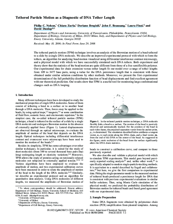 (PDF) Tethered Particle Motion as a Diagnostic of DNA Tether Length