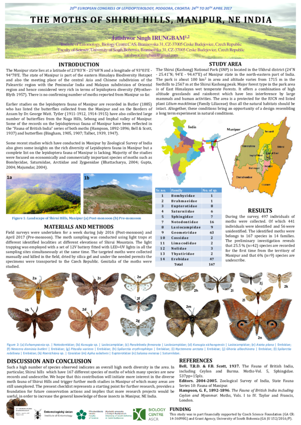 (PDF) THE MOTHS OF SHIRUI HILLS, MANIPUR, NE INDIA