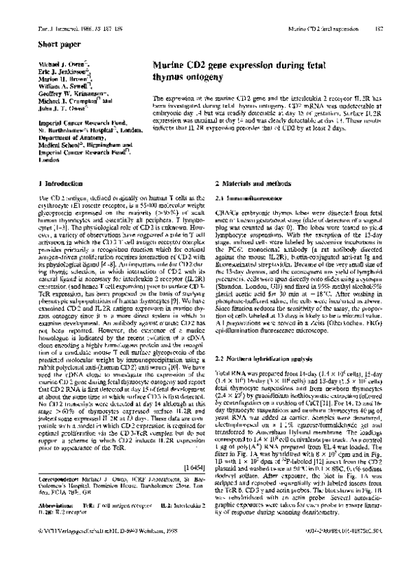 (PDF) Murine CD2 gene expression during fetal thymus ontogeny