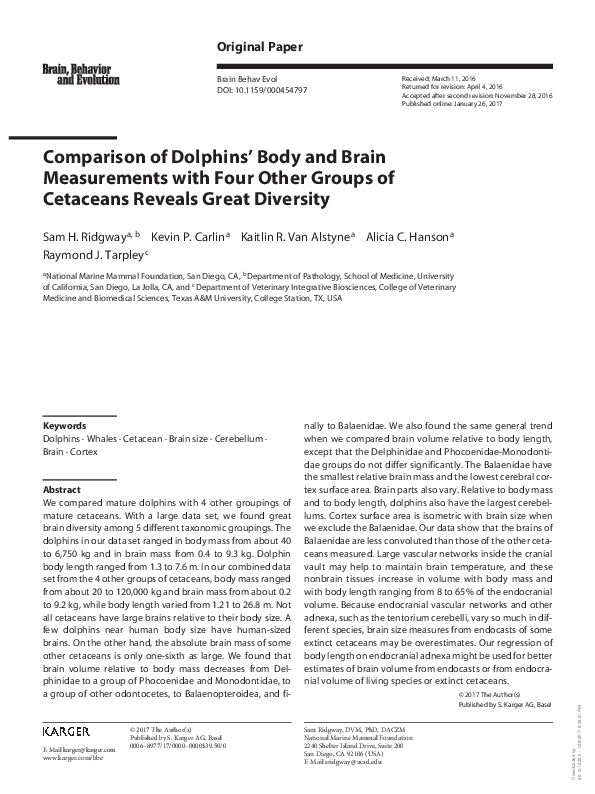 (PDF) Comparison of Dolphins' Body and Brain Measurements with Four ...