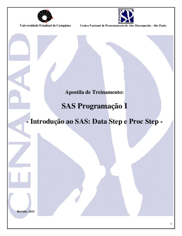 (PDF) Apostila de Treinamento: SAS Programação I -Introdução ao SAS ...