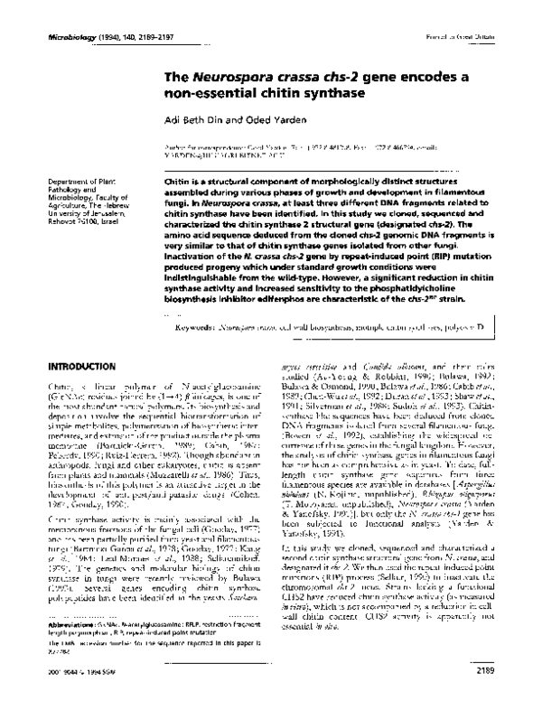 (PDF) The Neurospora crassa chs-2 gene encodes a non-essential chitin synthase
