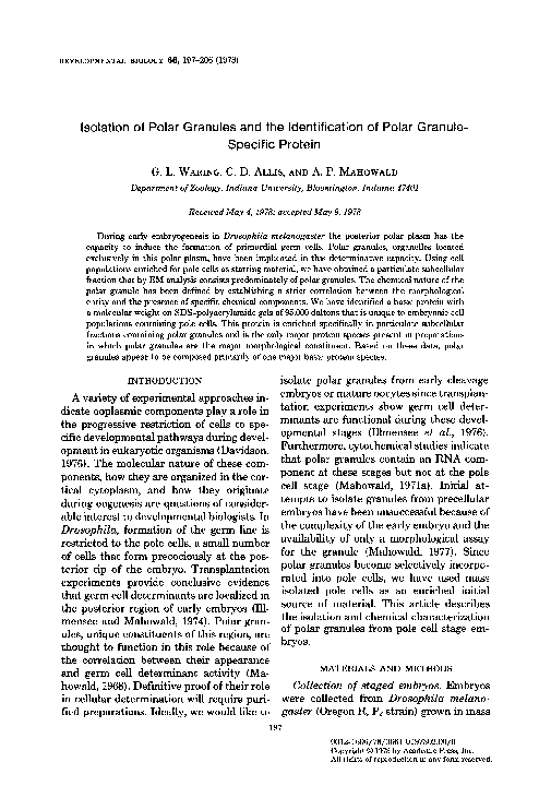 (PDF) Isolation of polar granules and the identification of polar ...