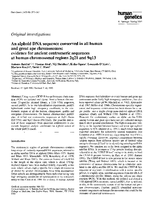 (PDF) An alphoid DNA sequence conserved in all human and great ape ...
