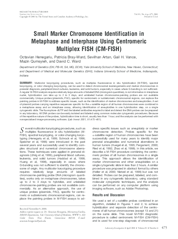 Pdf Automated Detection Of Interphase And Metaphase Nuclei In The