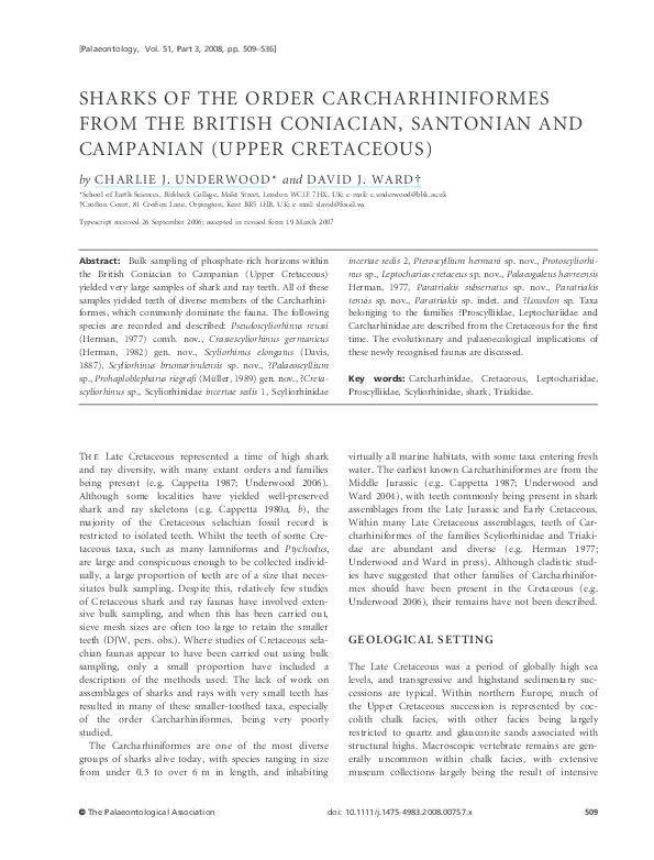 (PDF) New sharks of the genus Abdounia (Carcharhiniformes ...