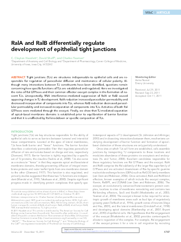 (PDF) RalA and RalB's Opposing Roles in Epithelial Tight Junctions