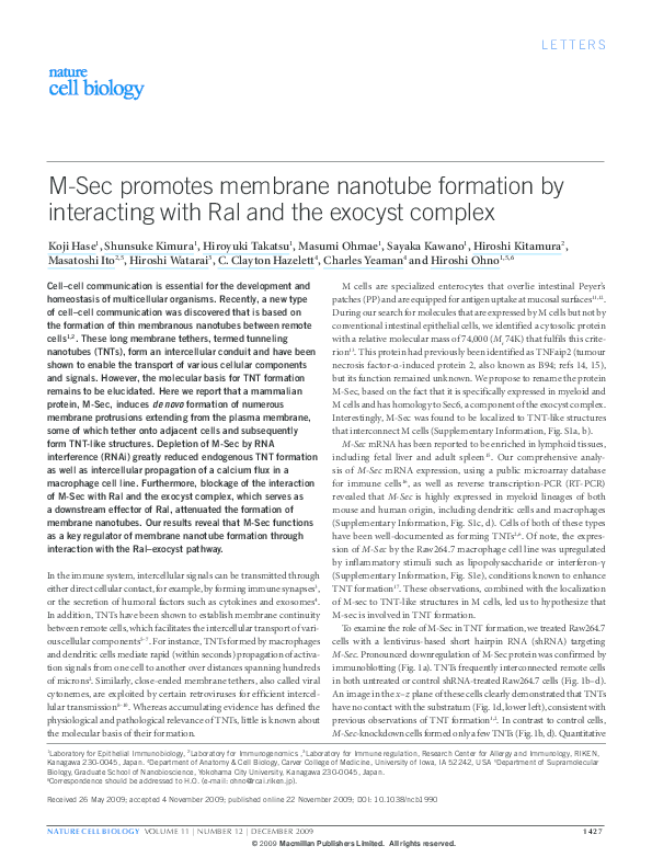 (PDF) M-Sec promotes membrane nanotube formation by interacting with ...