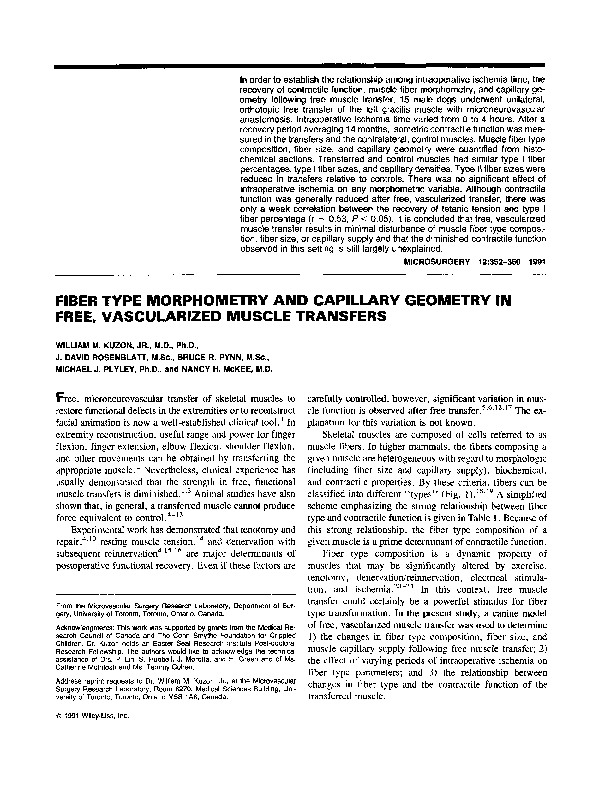 (PDF) Fiber type morphometry and capillary geometry in free ...