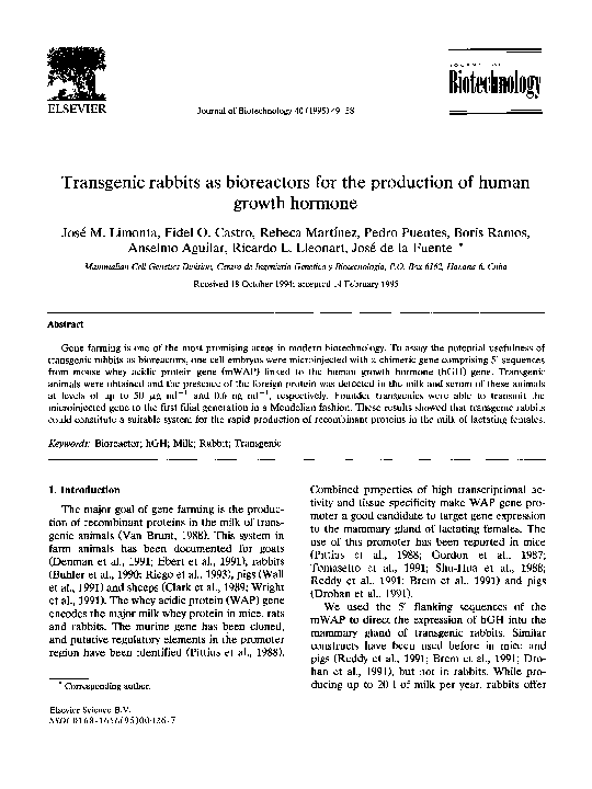 (PDF) Transgenic rabbits as bioreactors for the production of human ...