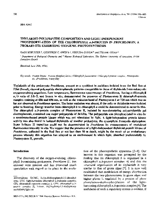 (PDF) Thylakoid polypeptide composition and light-independent ...