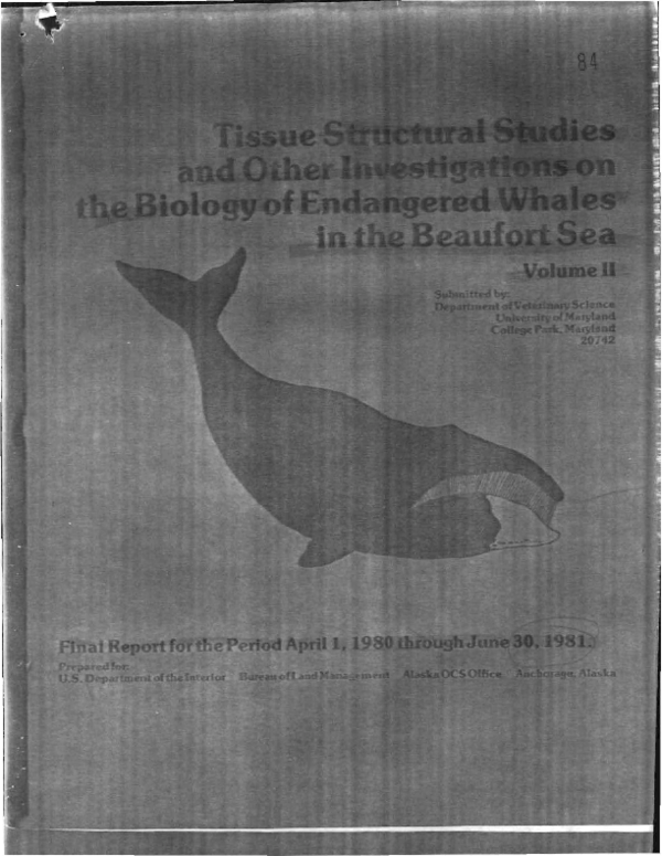 (PDF) SOME BRAIN MORPHOMETRICS OF THE BOWHEAD WHALE | Sam Ridgway ...