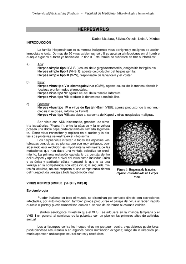 (PDF) Herpes virus